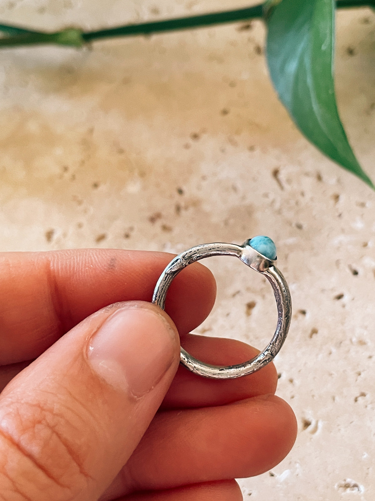 Water Element Twig Ring | Botanical Stone